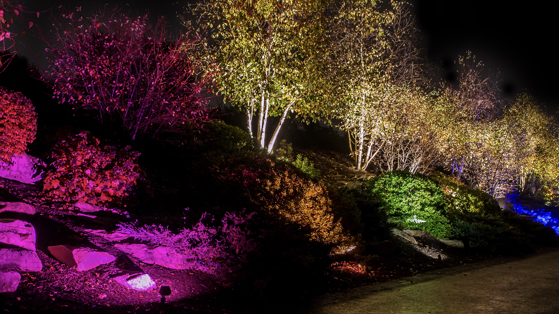 WAC Lighting Colorscaping Pro Landscape Lighting Kits - Big Irrigation ...